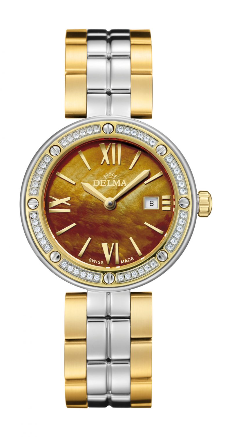 Delma Brand Watches